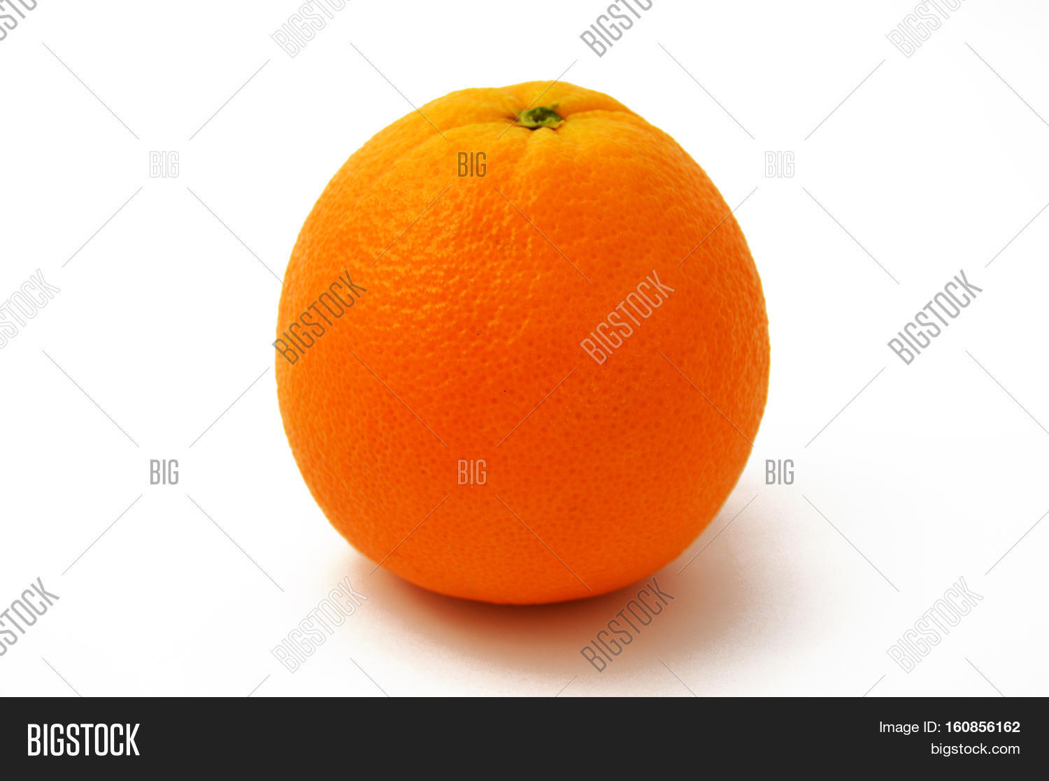 Best Highest Quality Image & Photo (Free Trial) | Bigstock