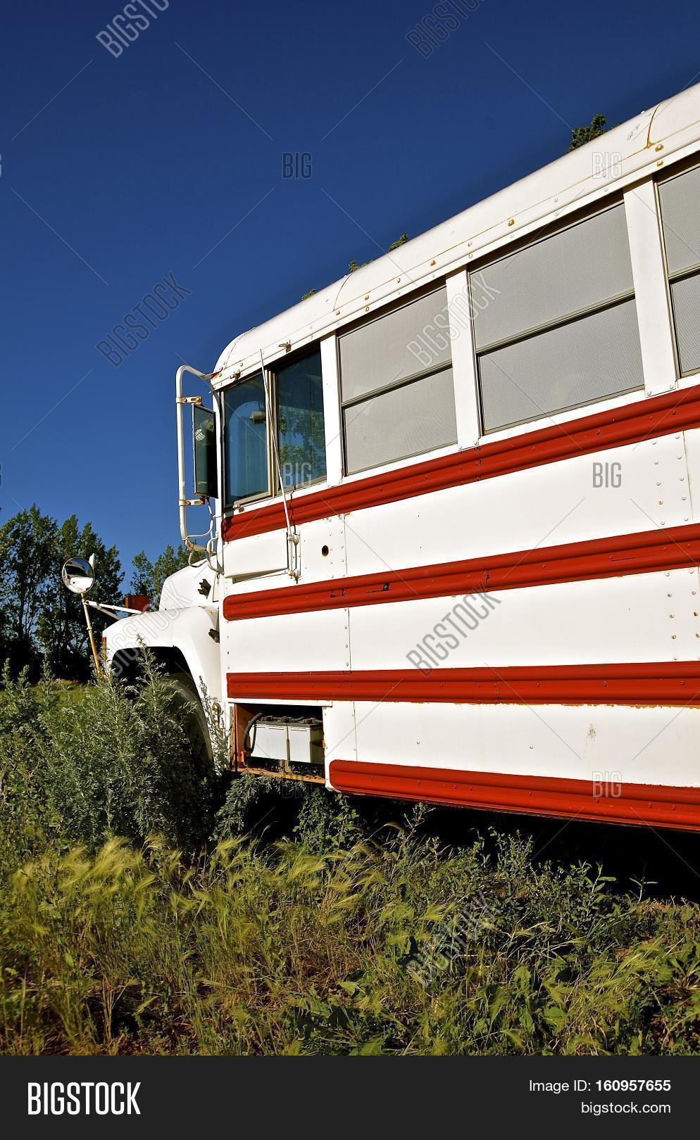Colorful School Bus Image & Photo (Free Trial) | Bigstock