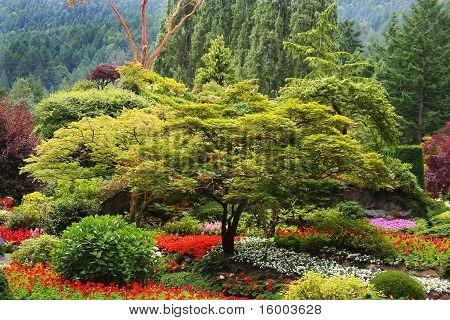 Tree Flower Garden Image & Photo (Free Trial) | Bigstock