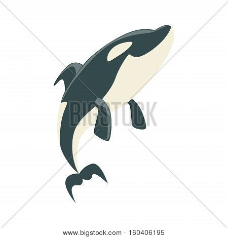 Orca Black White Vector & Photo (Free Trial) | Bigstock