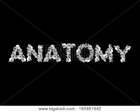Anatomy Lettering. Vector & Photo (Free Trial) | Bigstock