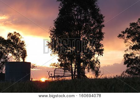 Australian Bush Image & Photo (Free Trial) | Bigstock