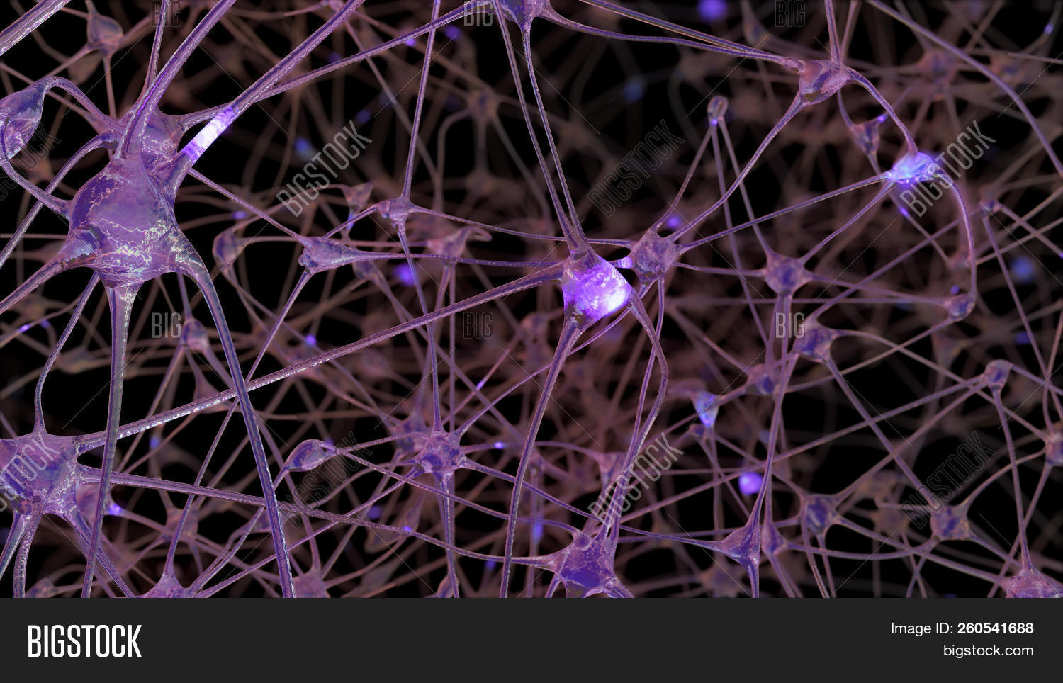 3d Rendering Network Image & Photo (Free Trial) | Bigstock