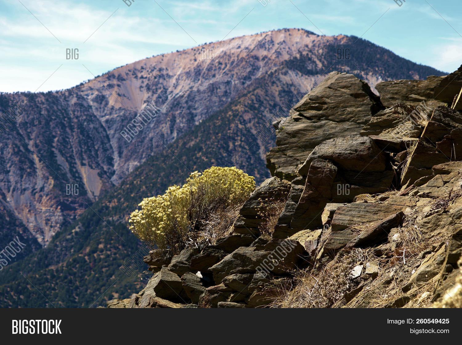 Rocky Terrain Image & Photo (Free Trial) | Bigstock