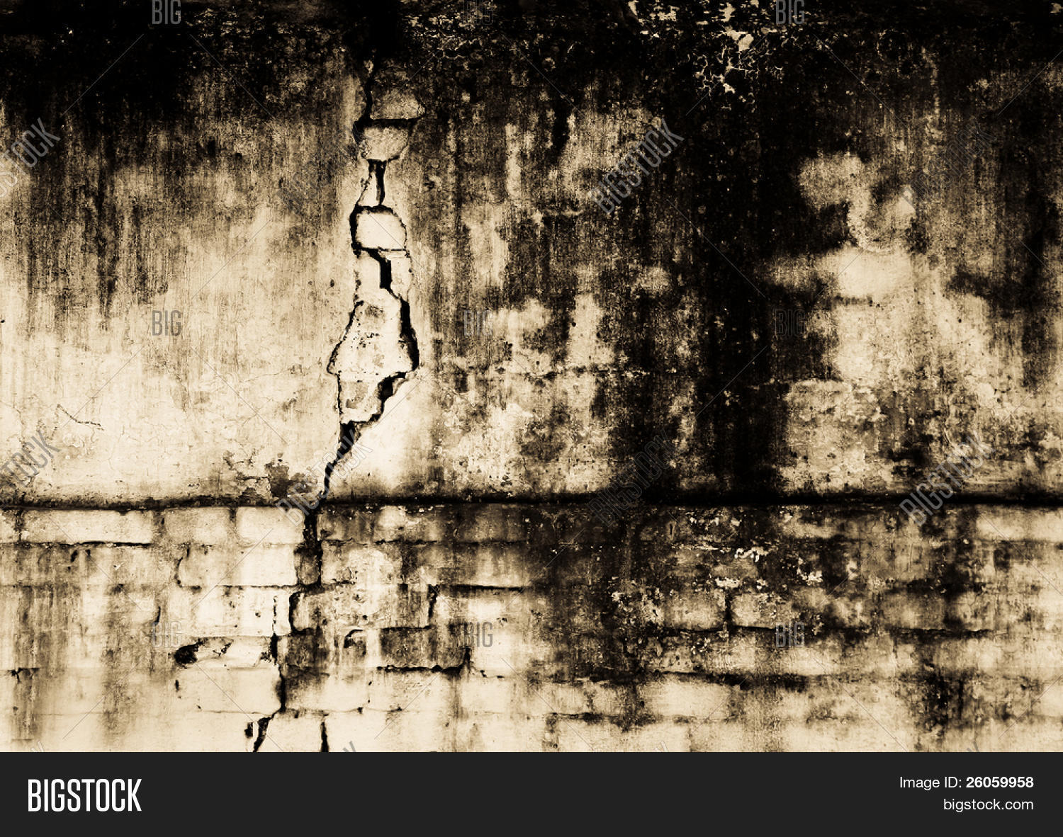 Old Moldy Brick Wall Image & Photo (Free Trial) | Bigstock