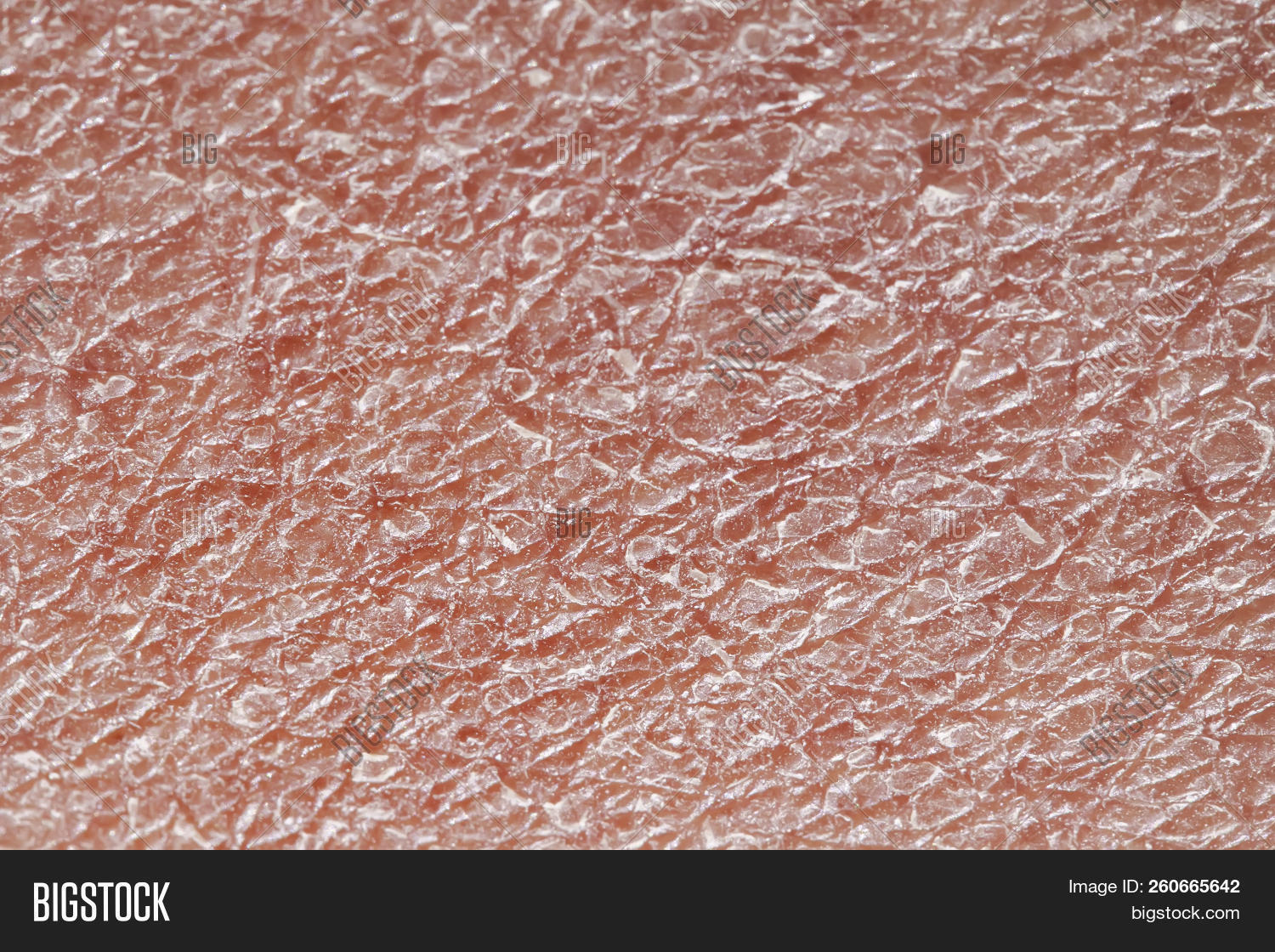 Background Texture Image & Photo (Free Trial) | Bigstock