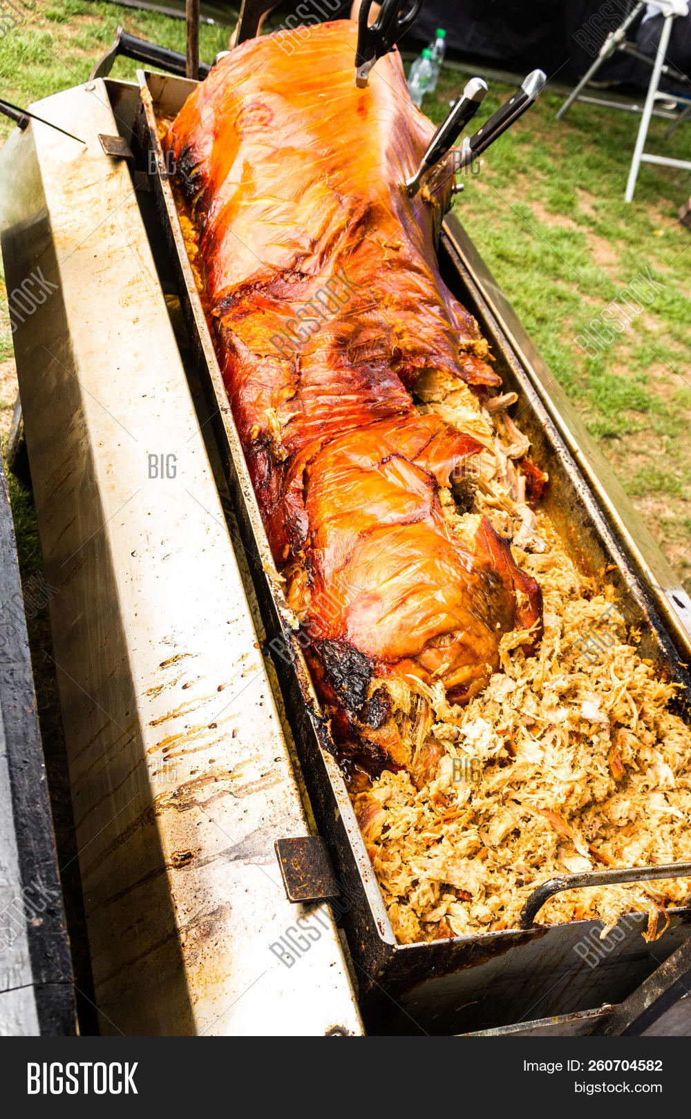 Hog Roast Prepared Image & Photo (Free Trial) | Bigstock