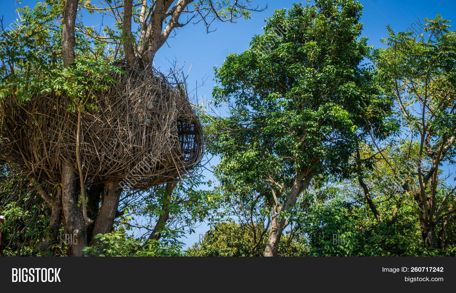 Traditional Tree House Image & Photo (Free Trial) | Bigstock