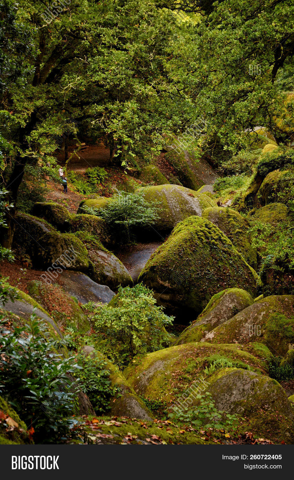 Big Rounded Boulders Image & Photo (Free Trial) | Bigstock