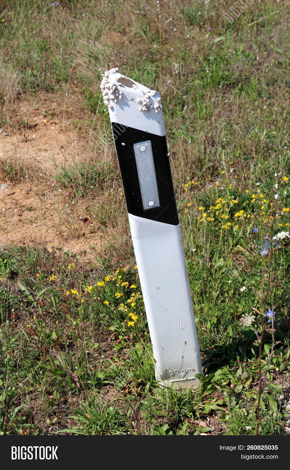 Leaning Black White Image & Photo (Free Trial) | Bigstock