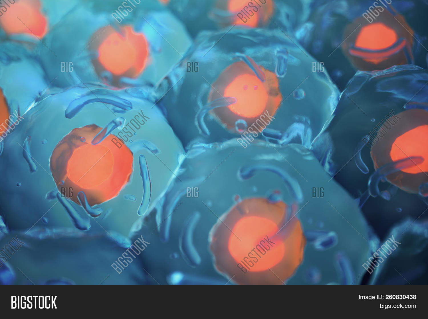 Human Cells. Cell Image & Photo (Free Trial) | Bigstock