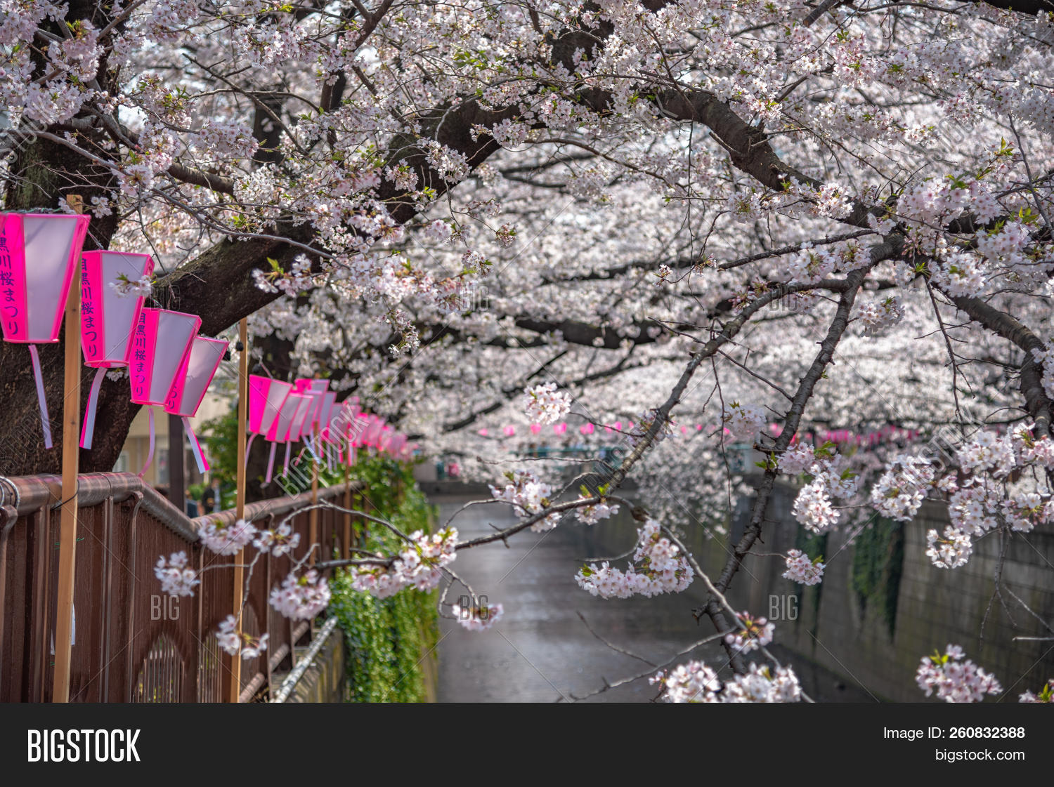 Meguro, Tokyo, Japan Image & Photo (Free Trial) | Bigstock