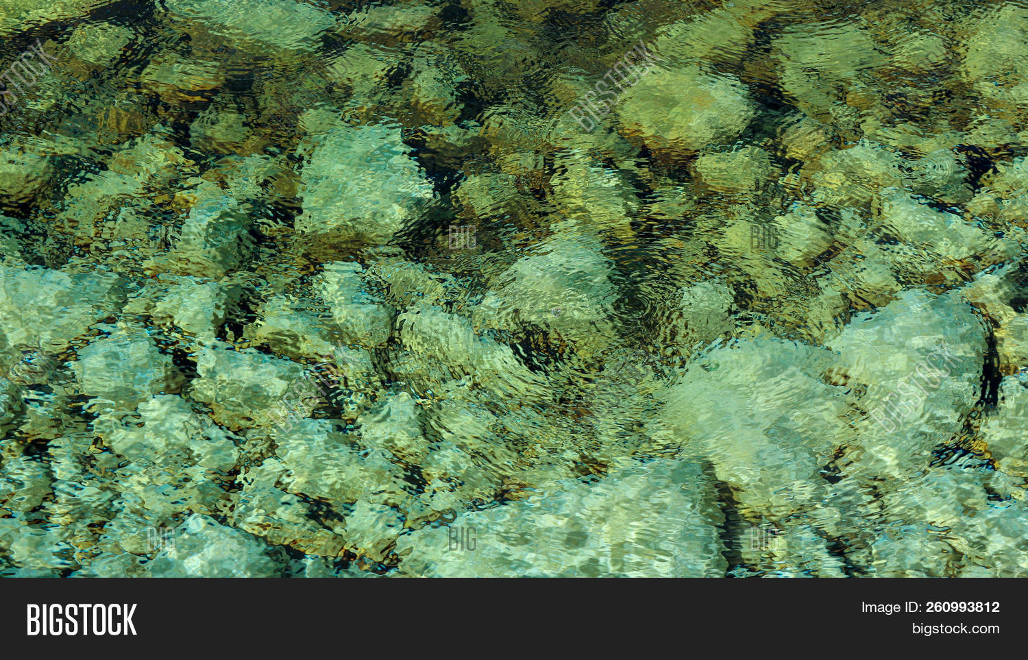 Natural Floating Image & Photo (Free Trial) | Bigstock