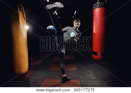 Young Man Kickboxing Image & Photo (Free Trial) | Bigstock