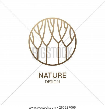 Forest Logo Template Vector & Photo (Free Trial) | Bigstock