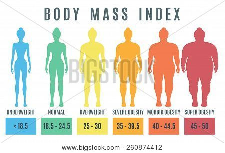 Female Body Mass Vector & Photo (Free Trial) | Bigstock