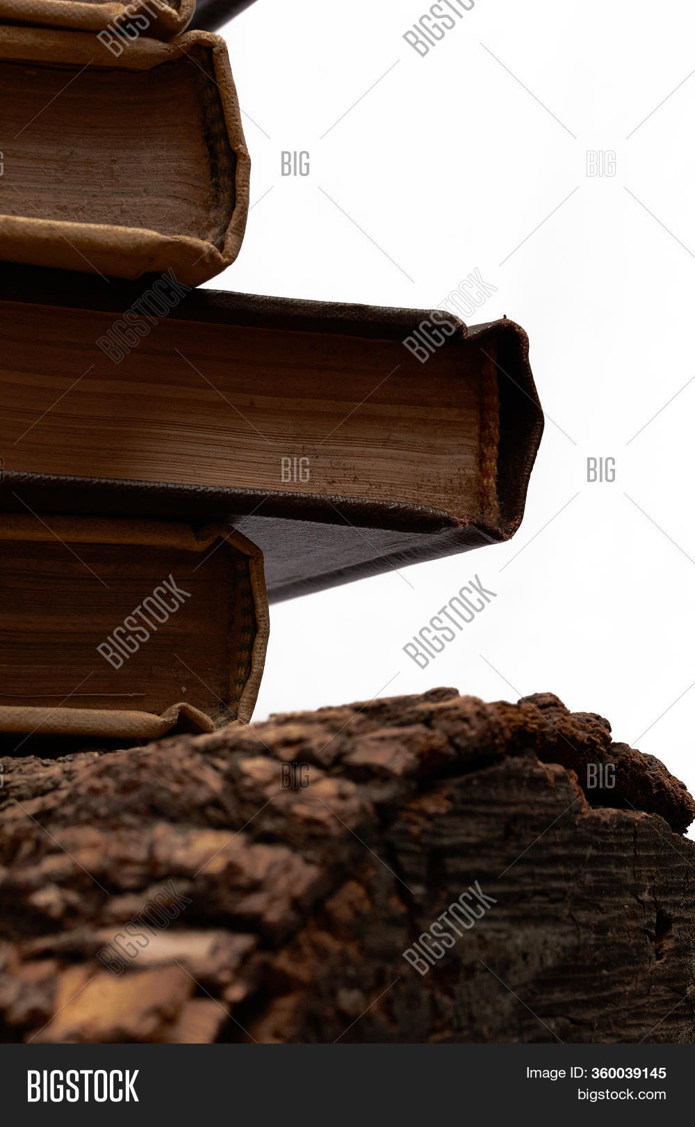 Old Books Stacked Image & Photo (Free Trial) | Bigstock
