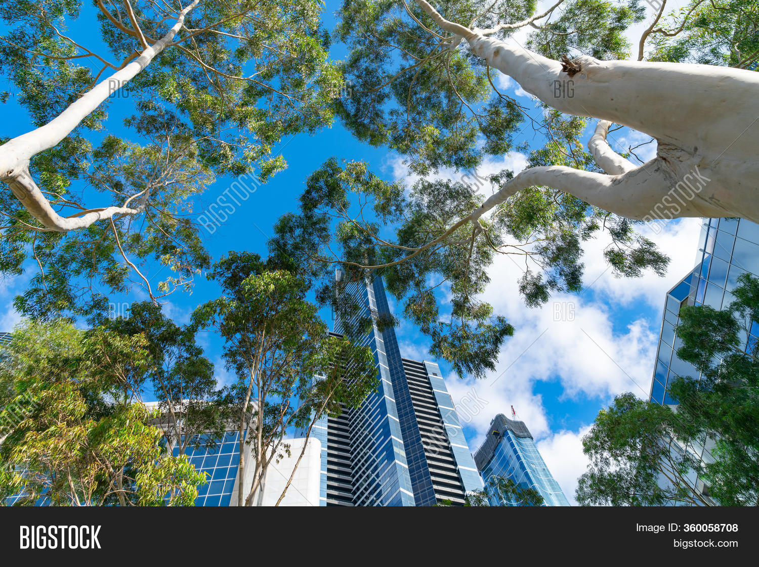 Towering City High- Image & Photo (Free Trial) | Bigstock