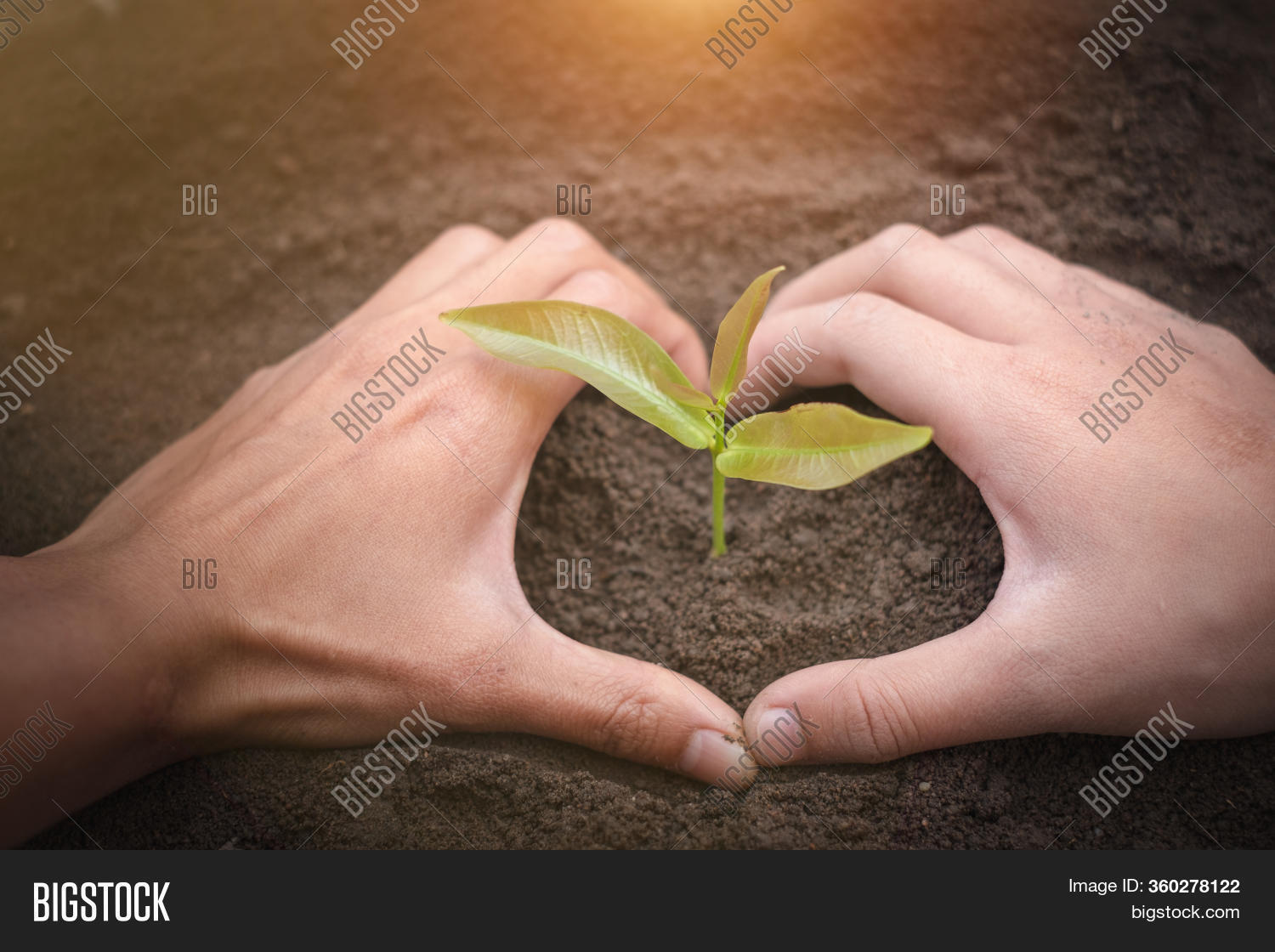 Conserve Environment Image & Photo (Free Trial) | Bigstock
