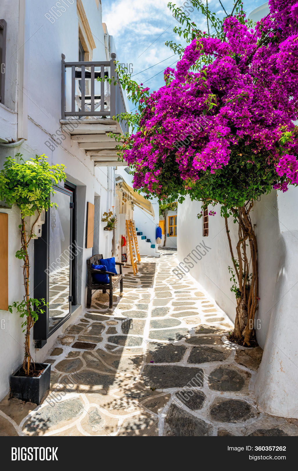 Picturesque Narrow Image & Photo (Free Trial) | Bigstock