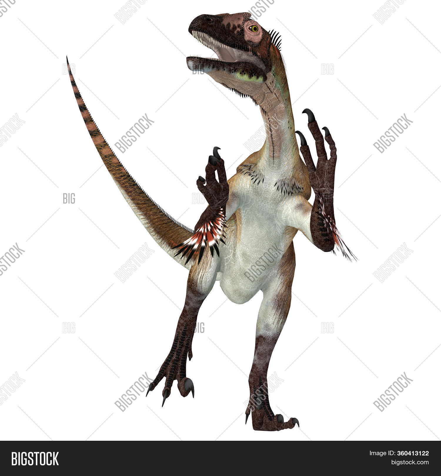 Utahraptor Dinosaur Image & Photo (Free Trial) | Bigstock