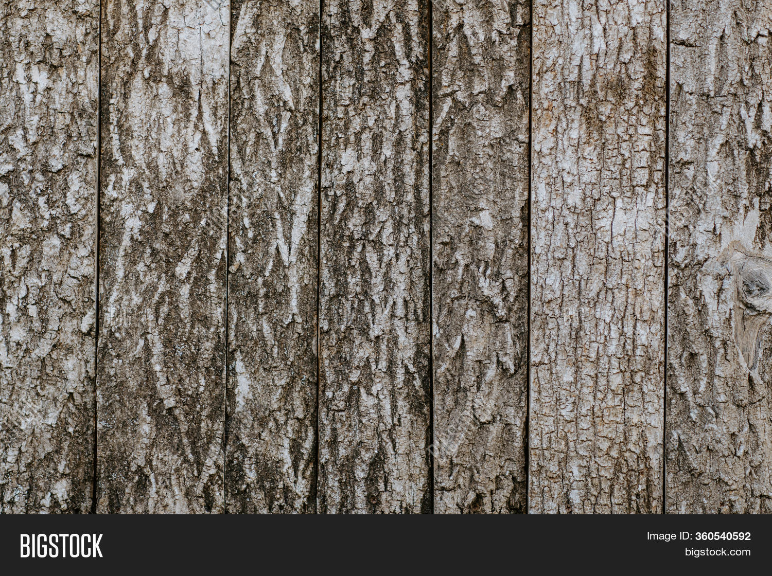Photo Old Grey Wood Image & Photo (Free Trial) | Bigstock