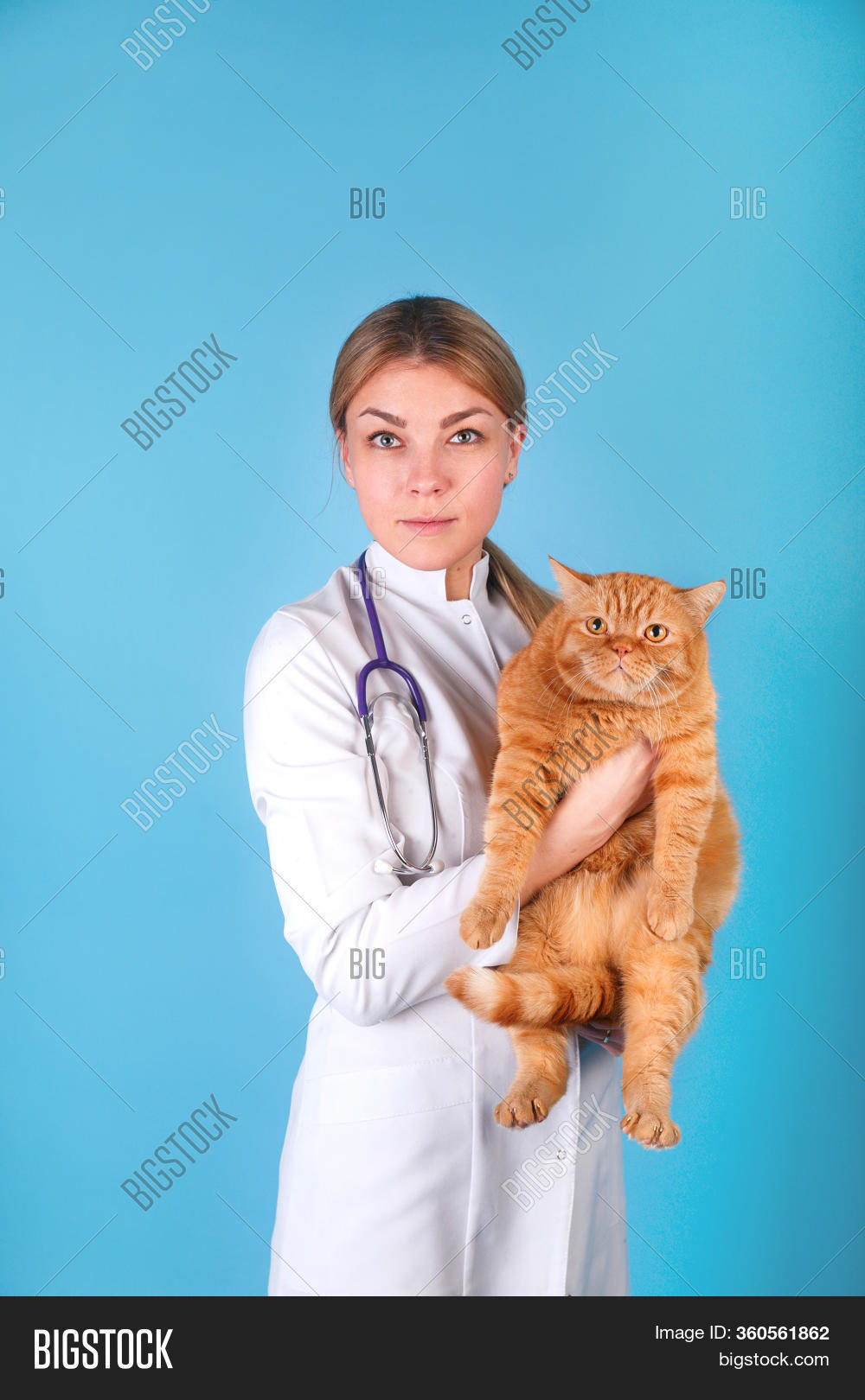 Beautiful Doctor Image & Photo (Free Trial) | Bigstock