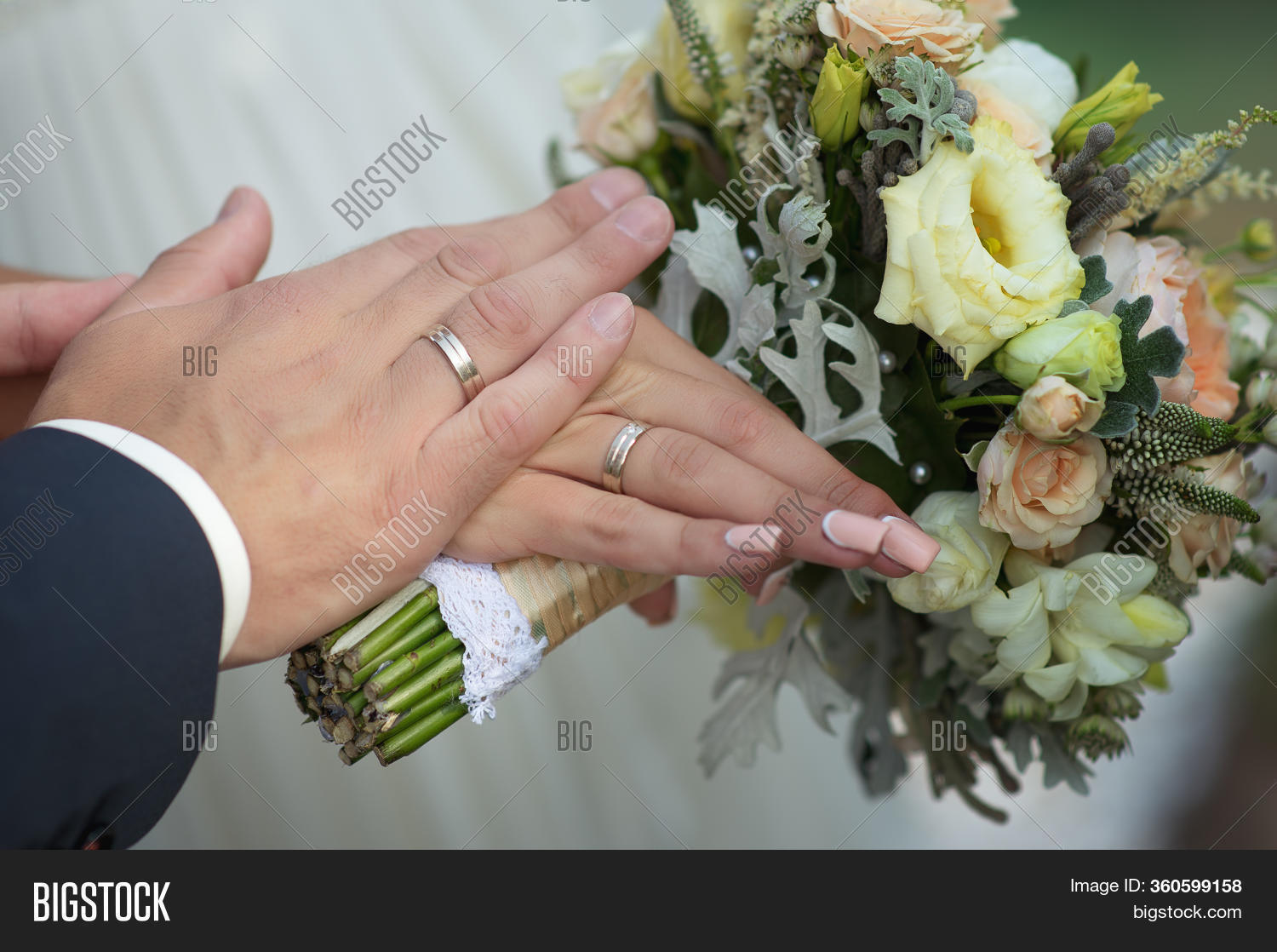 Hands Bride Groom Image & Photo (Free Trial) | Bigstock