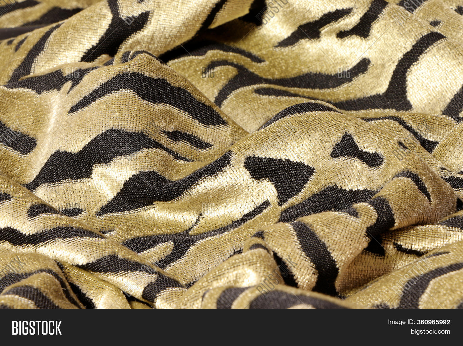 Texture Snake Leather Image & Photo (Free Trial) | Bigstock