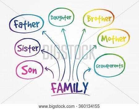 Family - Mind Map Image & Photo (Free Trial) | Bigstock