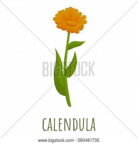 Calendula Flower Icon Vector & Photo (Free Trial) | Bigstock