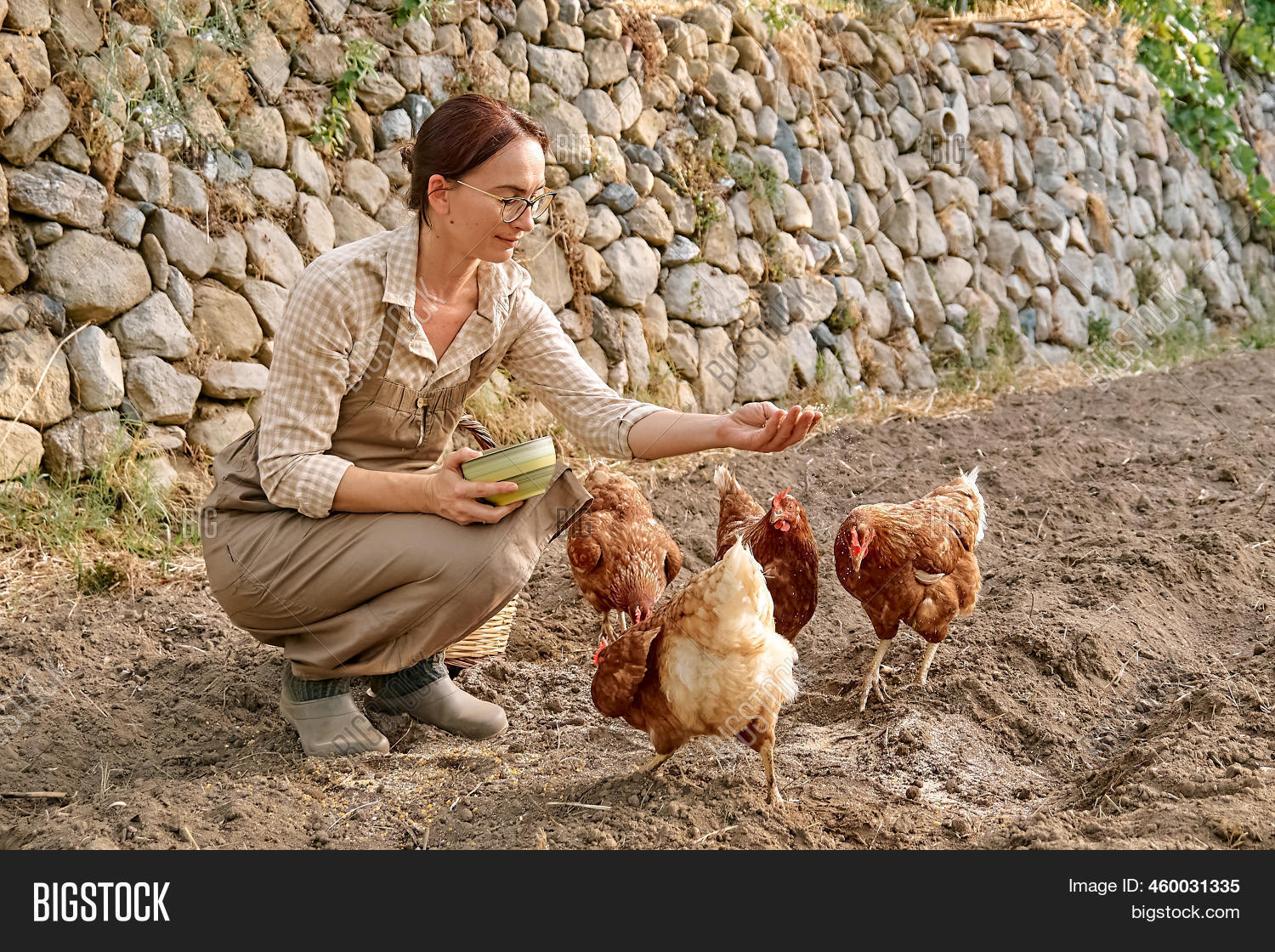 Woman Feeding Hens Image & Photo (Free Trial) | Bigstock