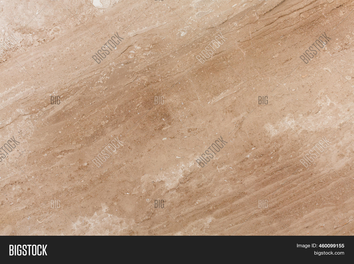 Daino Reale Natural Image & Photo (Free Trial) | Bigstock