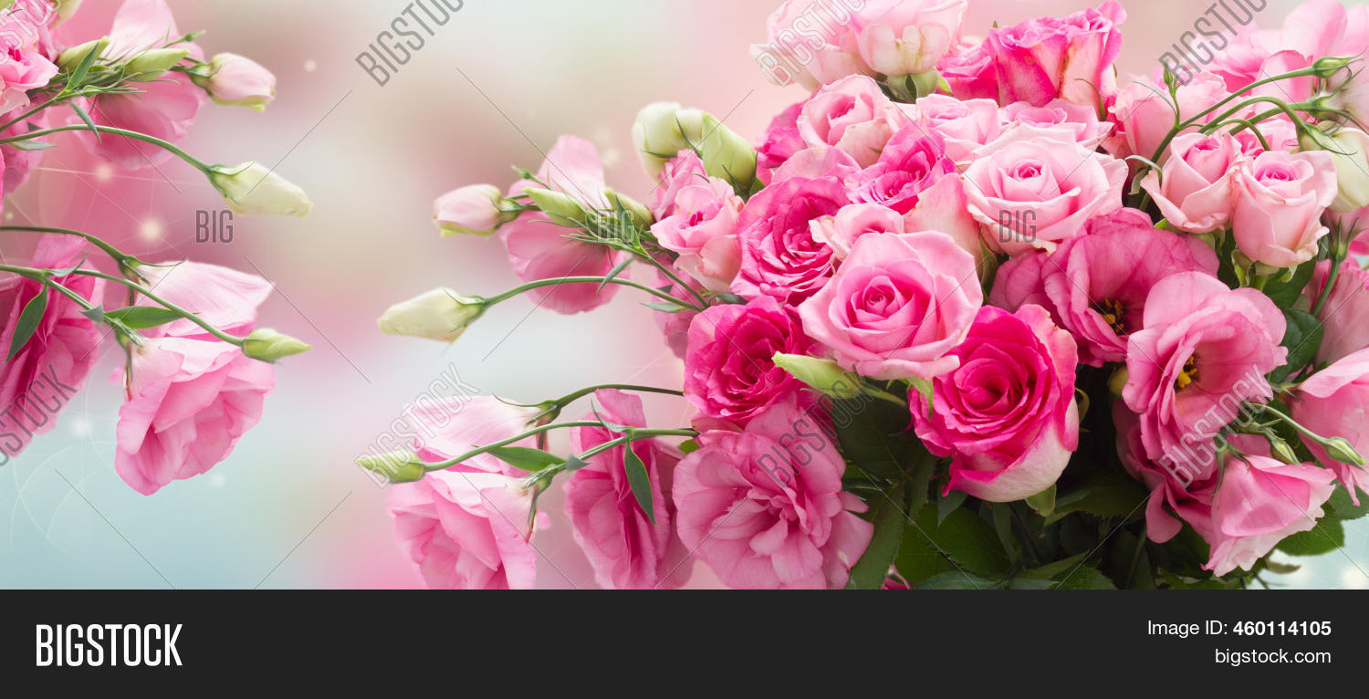 Bunch Pink Roses Image & Photo (Free Trial) | Bigstock