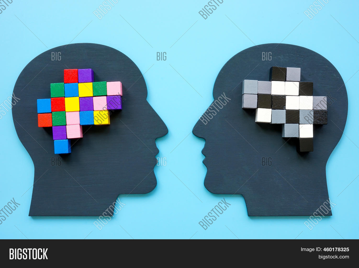 Positive Negative Image & Photo (Free Trial) | Bigstock