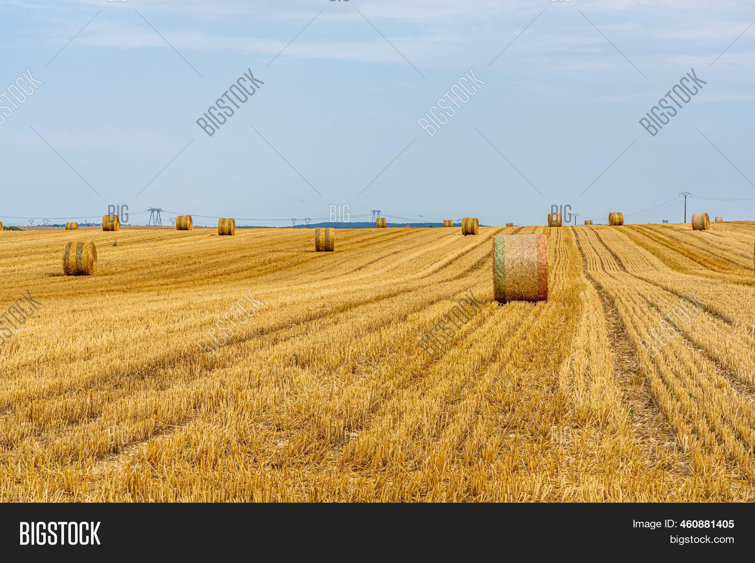 Field Golden Hay Bales Image & Photo (Free Trial) | Bigstock