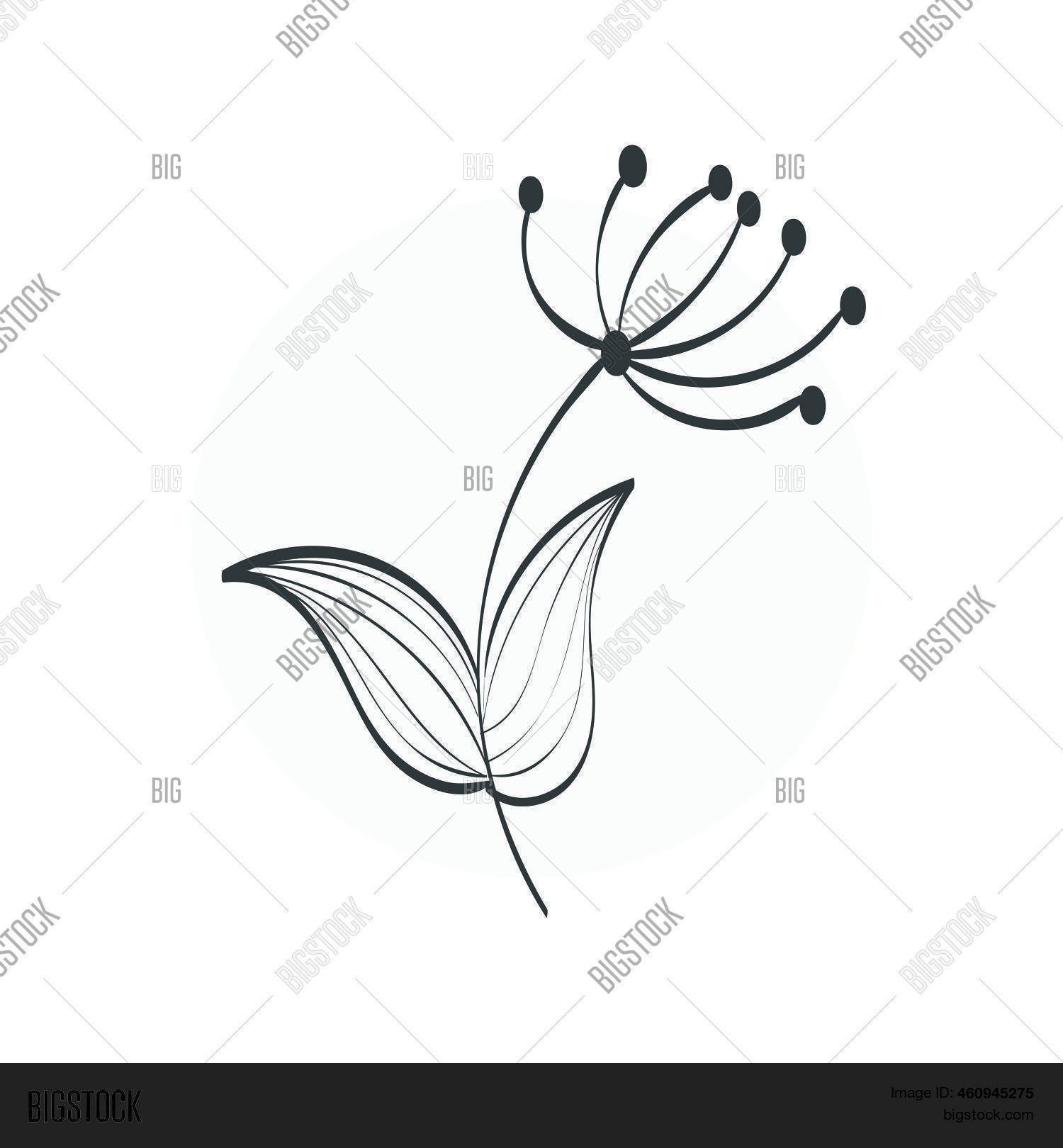 Floral Art Flower Vector And Photo Free Trial Bigstock