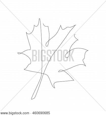 Line Art Maple Leaves Vector & Photo (Free Trial) | Bigstock