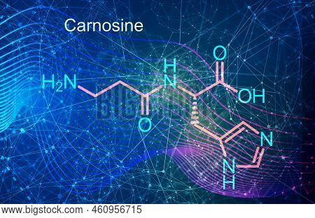 Carnosine L-carnosine Image & Photo (Free Trial) | Bigstock