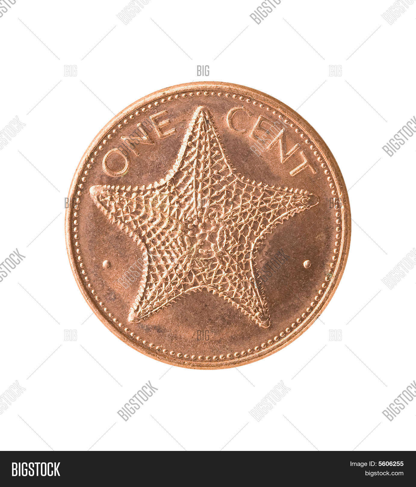 Bahamas Coin Starfish Image & Photo (Free Trial) | Bigstock