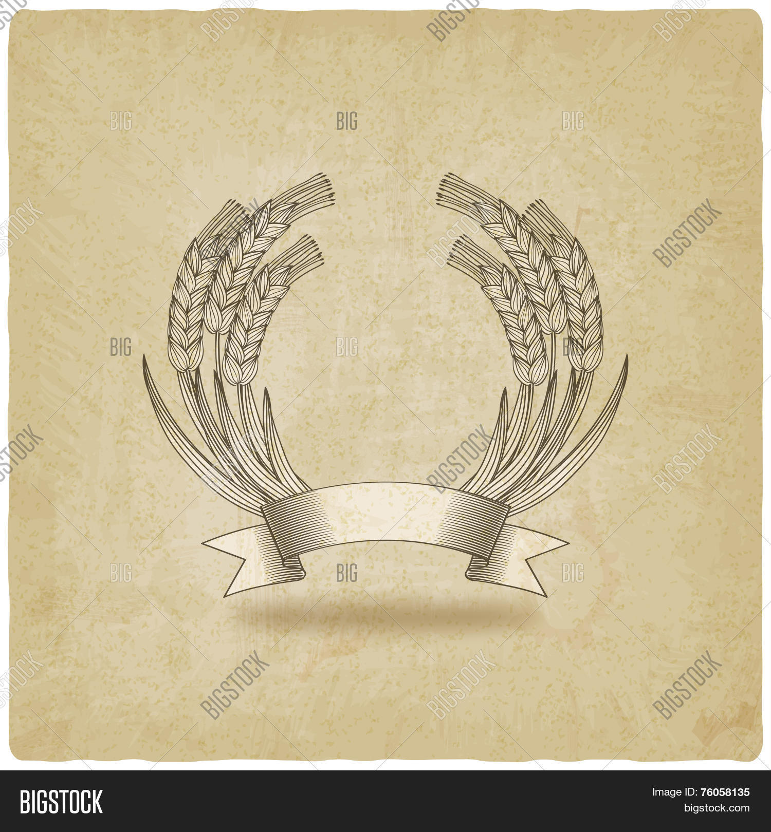 Sheaf Wheat Ribbon Vector & Photo (Free Trial) | Bigstock