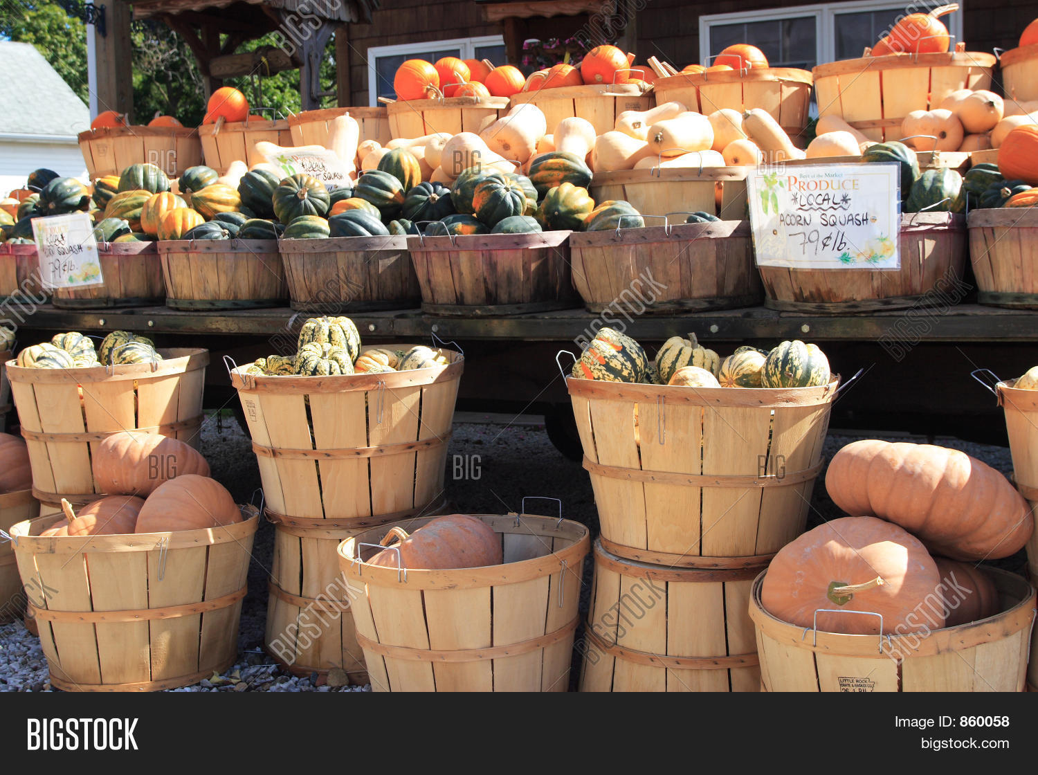 Farm Stand Squash Image & Photo (Free Trial) | Bigstock
