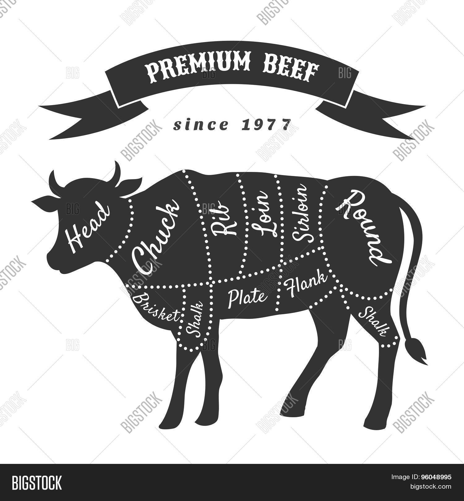 Beef Cuts Butcher Vector & Photo (Free Trial) | Bigstock