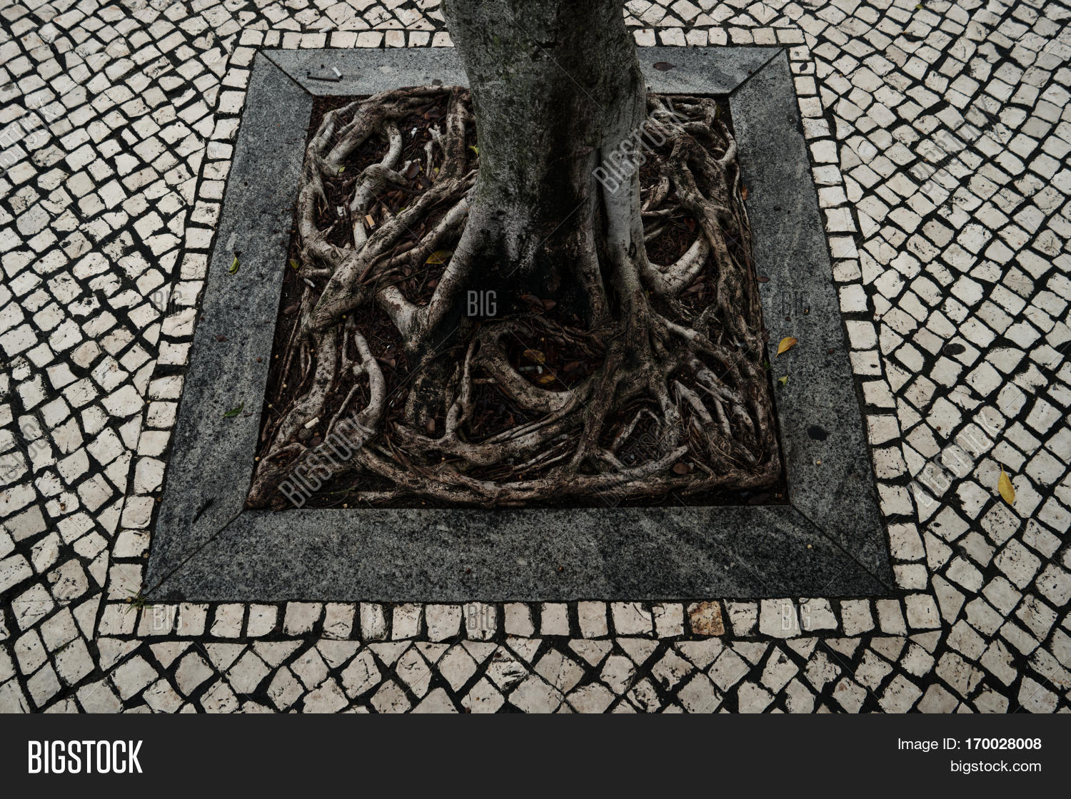 Cobblestone Sidewalk Image & Photo (Free Trial) | Bigstock