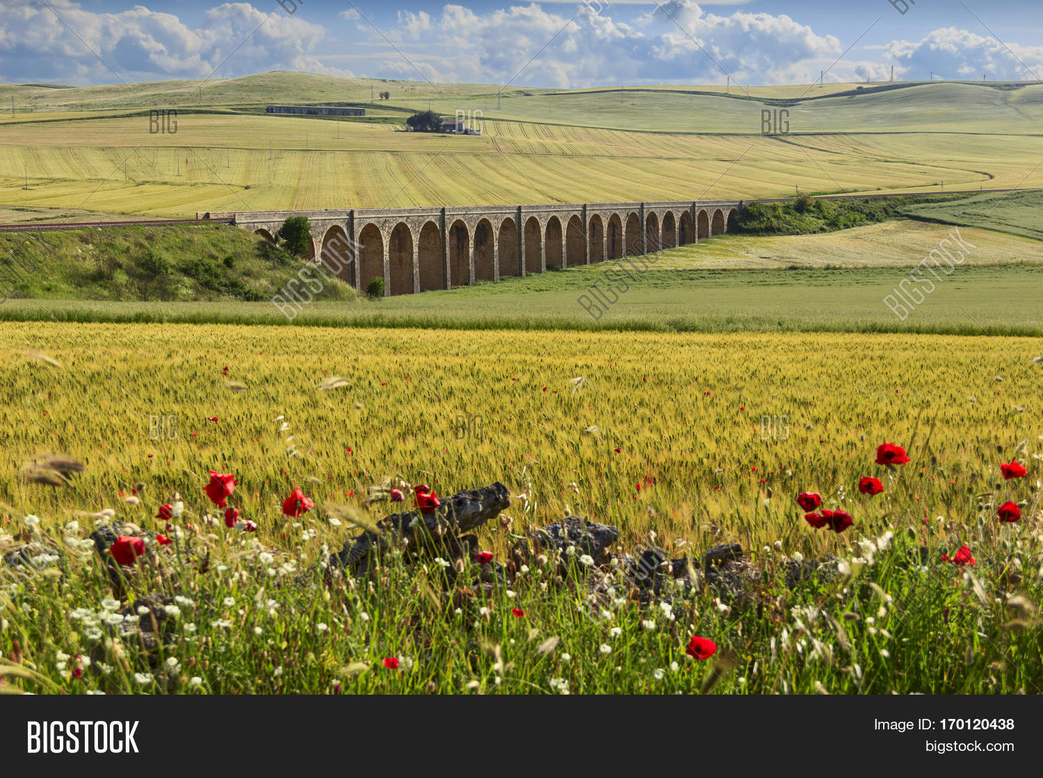 Spring Rural Landscape Image & Photo (Free Trial) | Bigstock