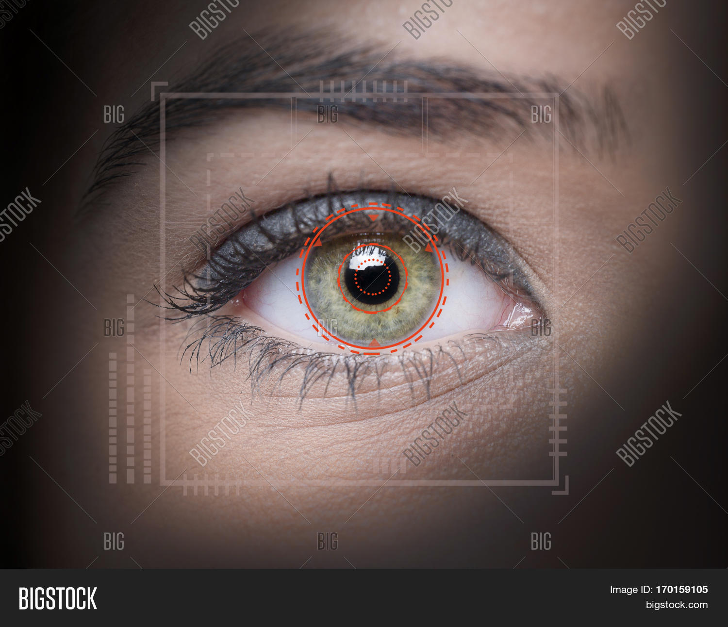 Iris Biometric Image And Photo Free Trial Bigstock