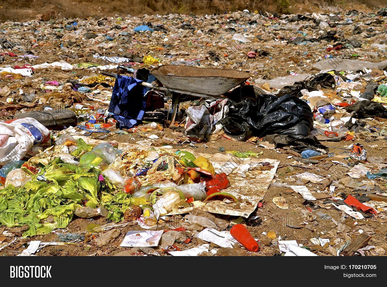 Waste, Leftovers, Image & Photo (Free Trial) | Bigstock