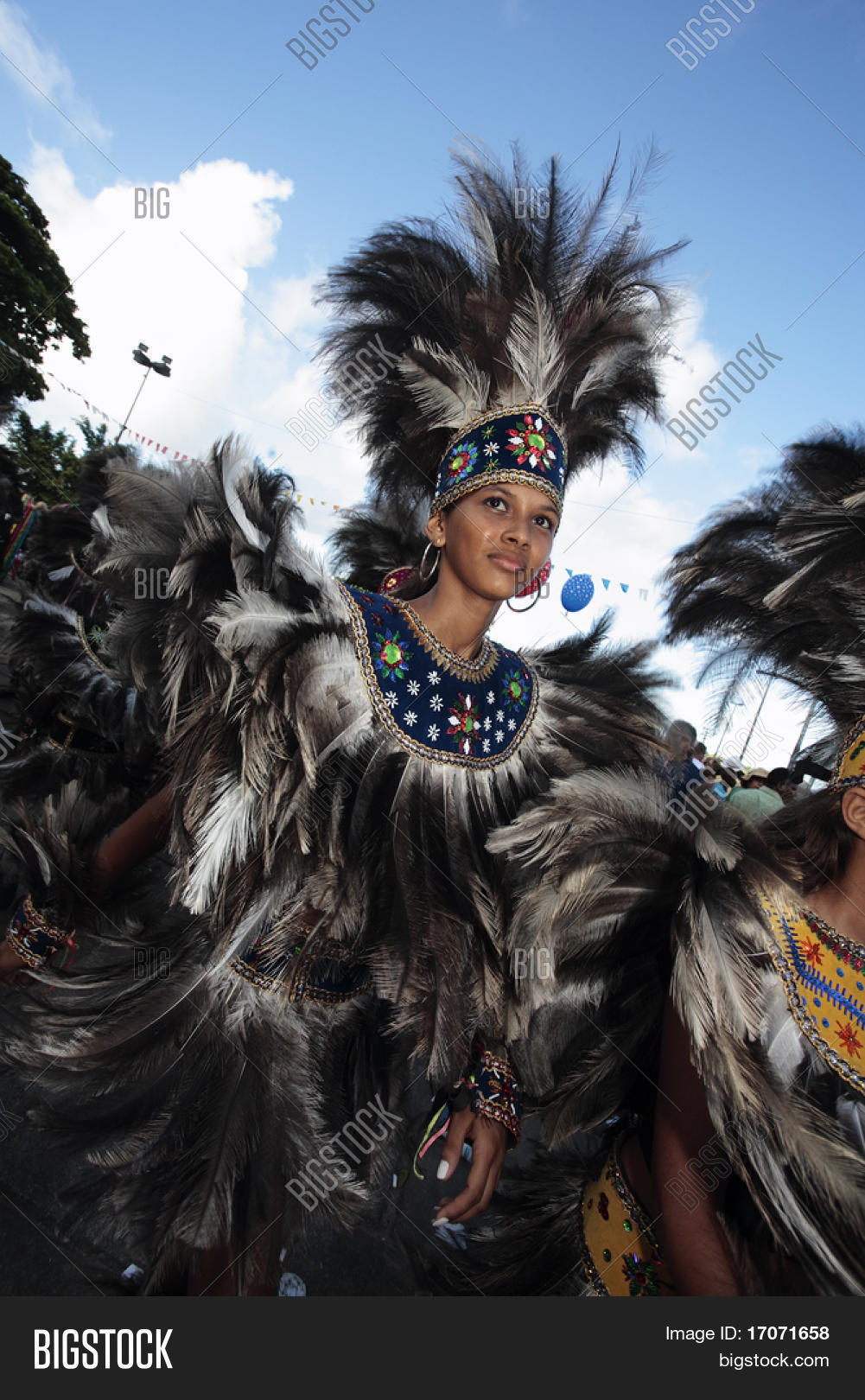 Bumba Meu Boi Image & Photo (Free Trial) | Bigstock