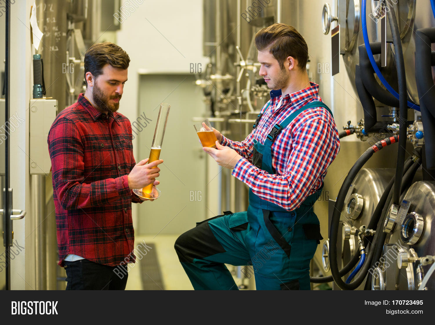 Brewers Testing Beer Image & Photo (Free Trial) | Bigstock