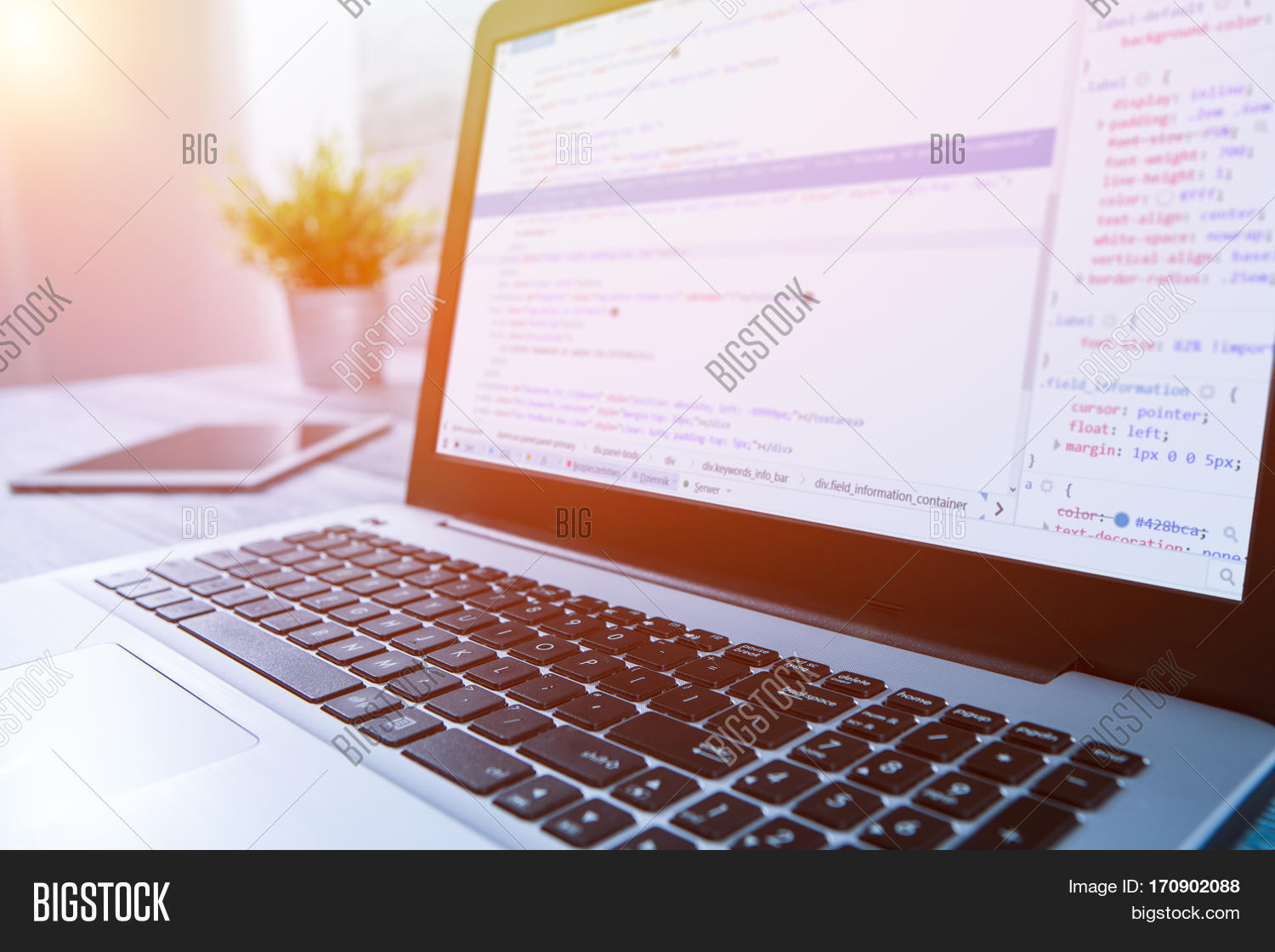 Coding Code Program Image & Photo (Free Trial) | Bigstock